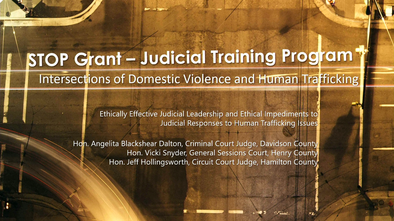 Domestic Violence Panel